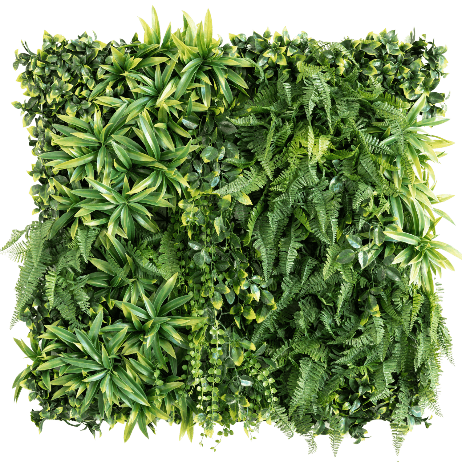 Tropical vertical garden 100 x 100 cm - garden vertical.es