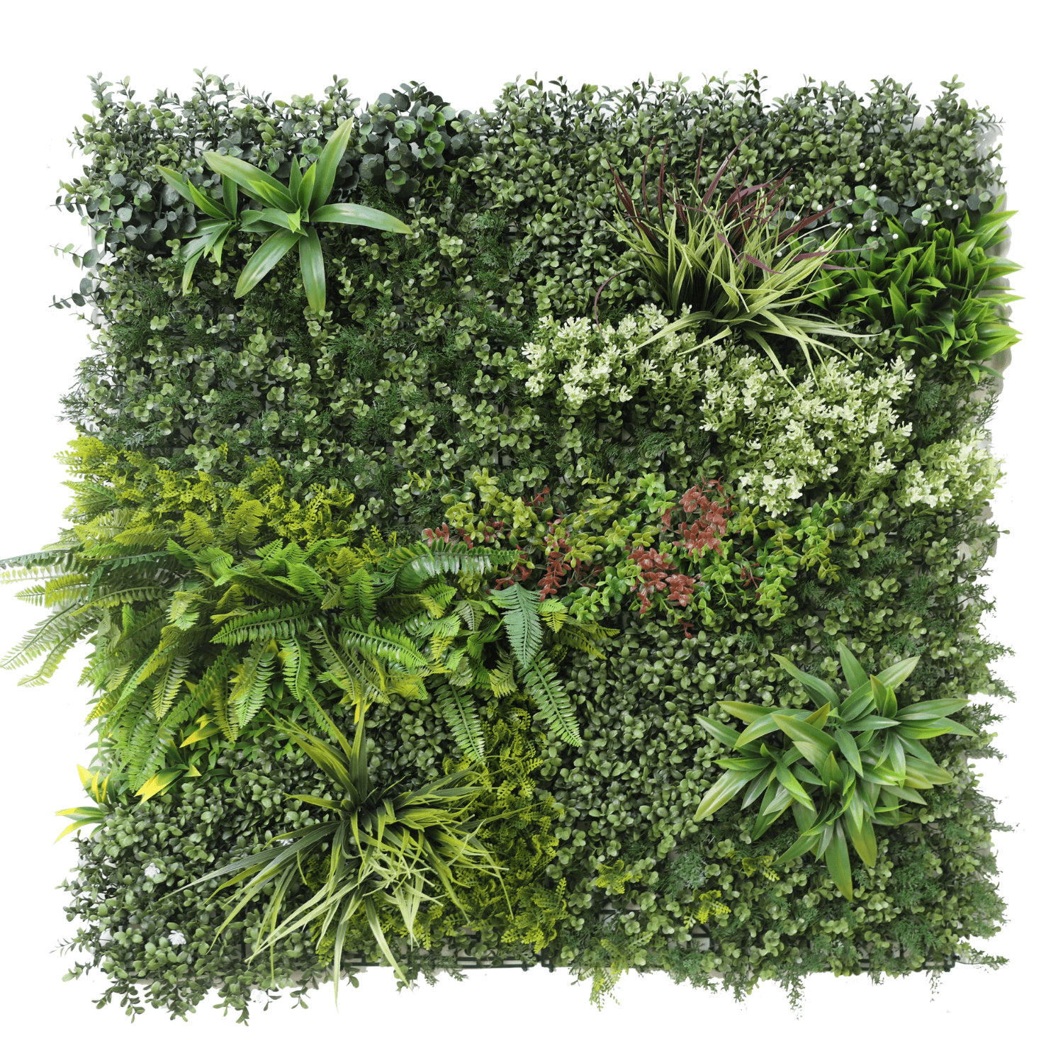 Jardín Vertical Green Nature 100 x 100 cm - JardinVertical.es