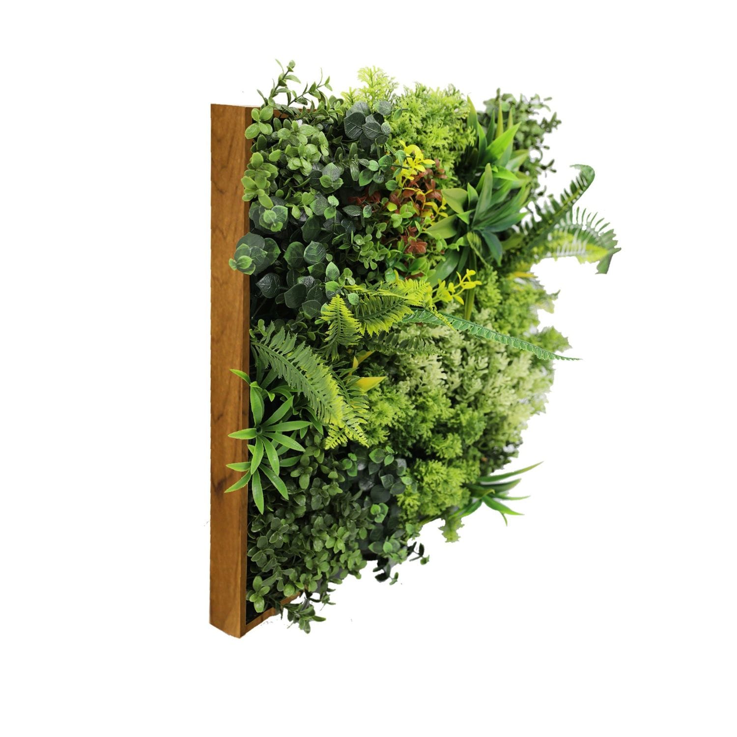 Urban Jungle B artificial vertical garden with 50 x 50 cm frame - garden