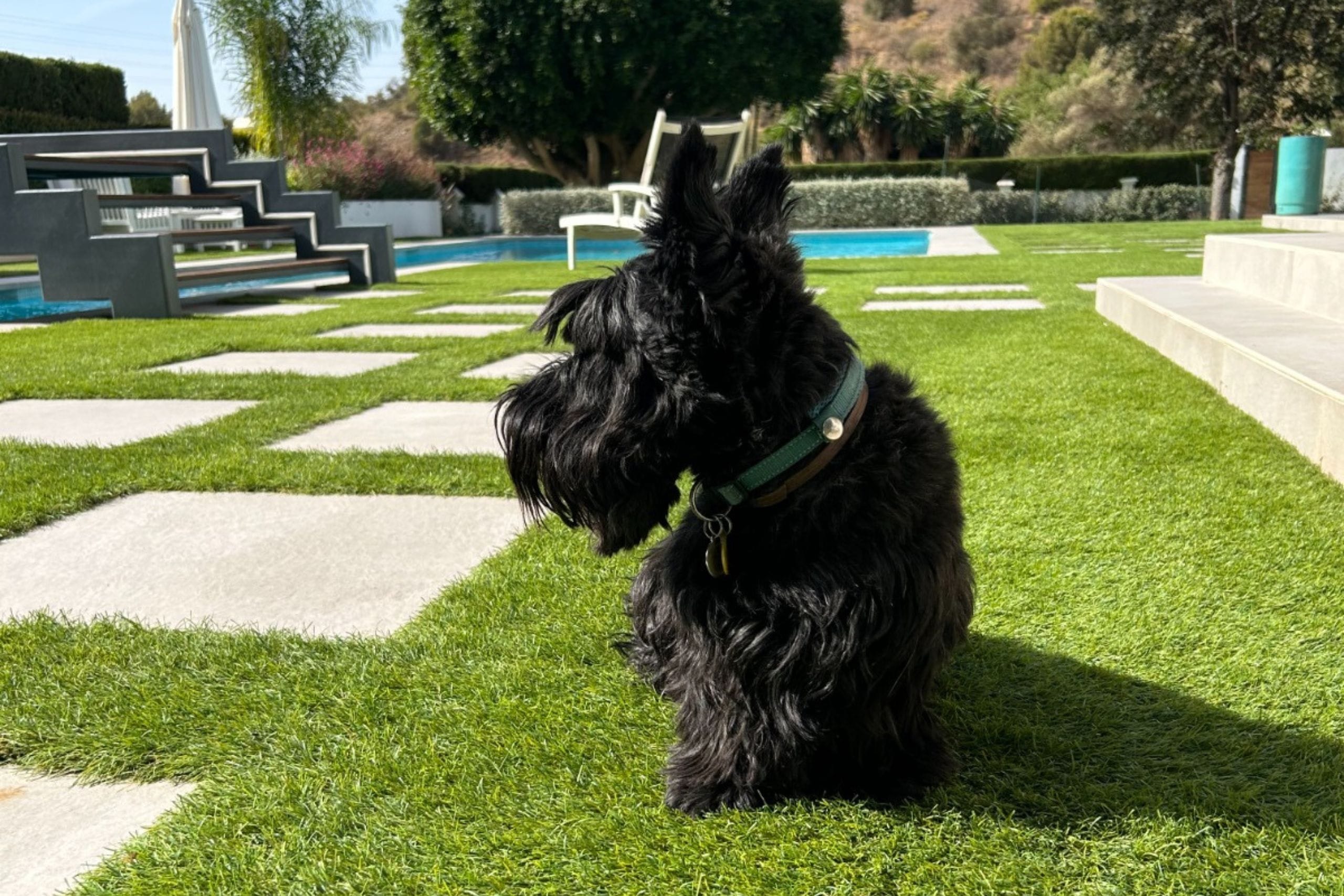 How to remove bad smell from artificial grass? - JardinVertical.es